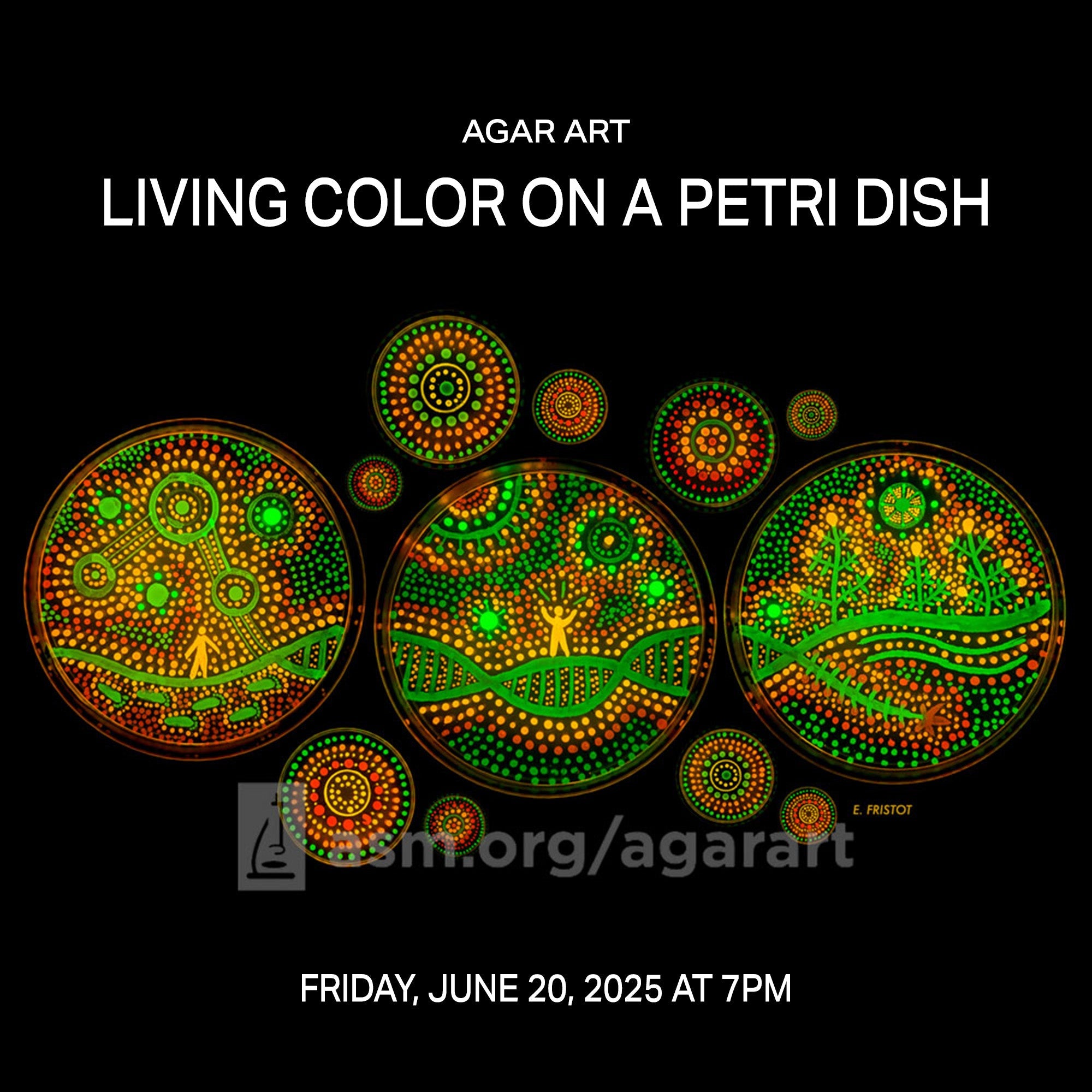 Agar Art – E2Art Gallery